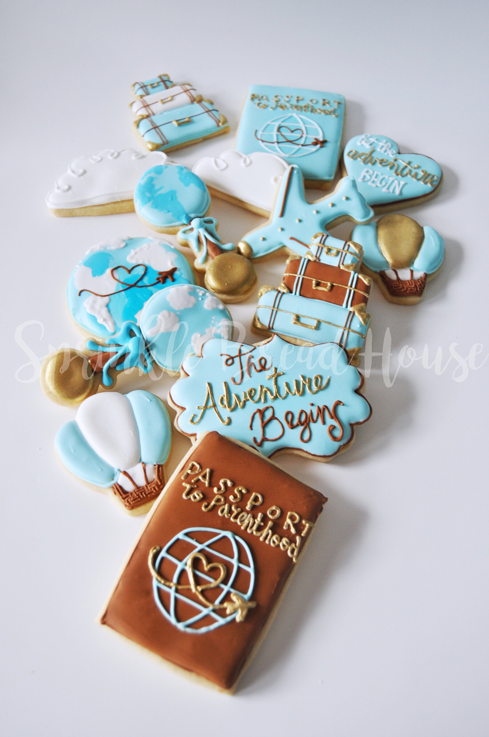 Adventure Custom Baby Shower Sugar Cookies - It's a Boy - Passport Baby ...