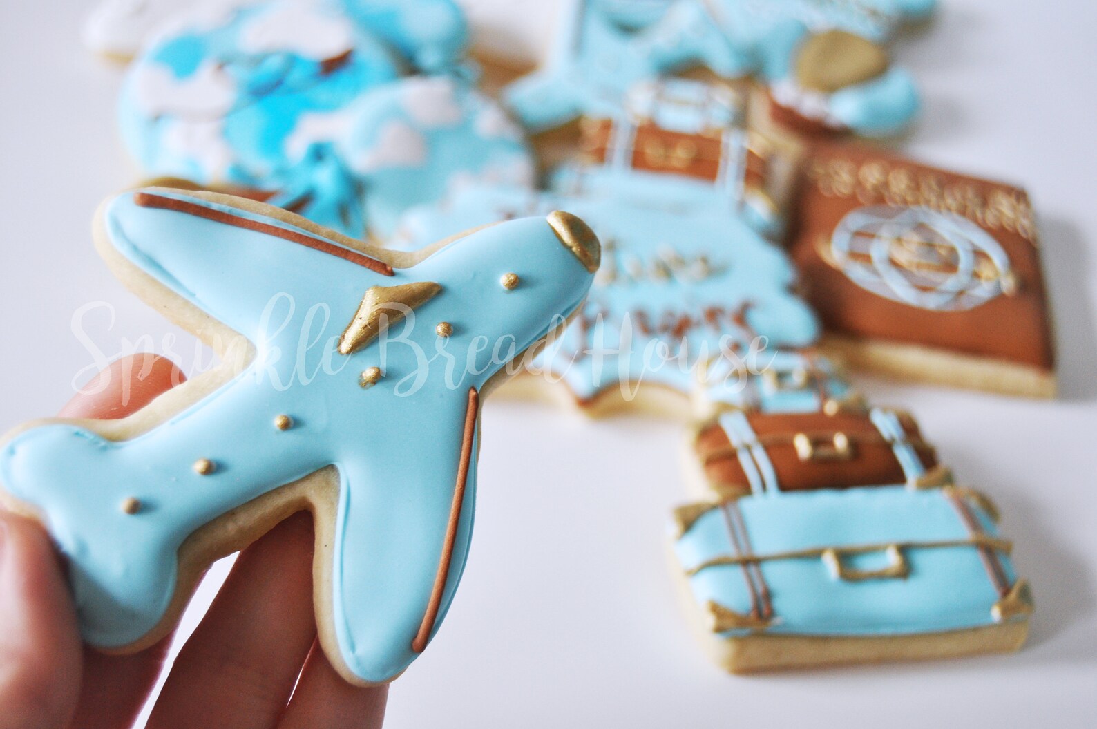 Adventure Custom Baby Shower Sugar Cookies - It's a Boy - Passport Baby ...