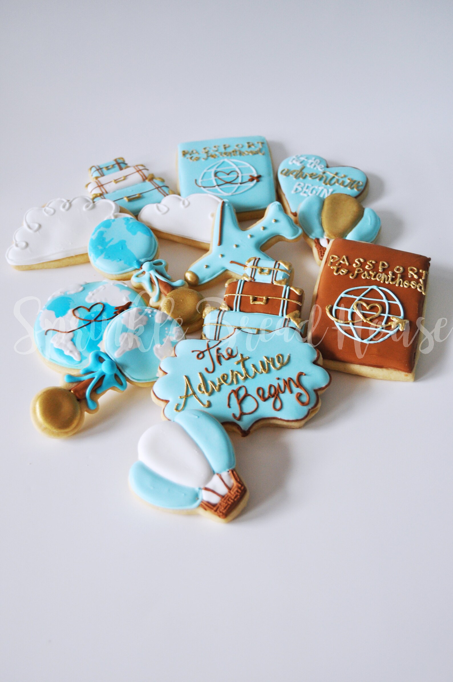 Adventure Custom Baby Shower Sugar Cookies - It's a Boy - Passport Baby ...