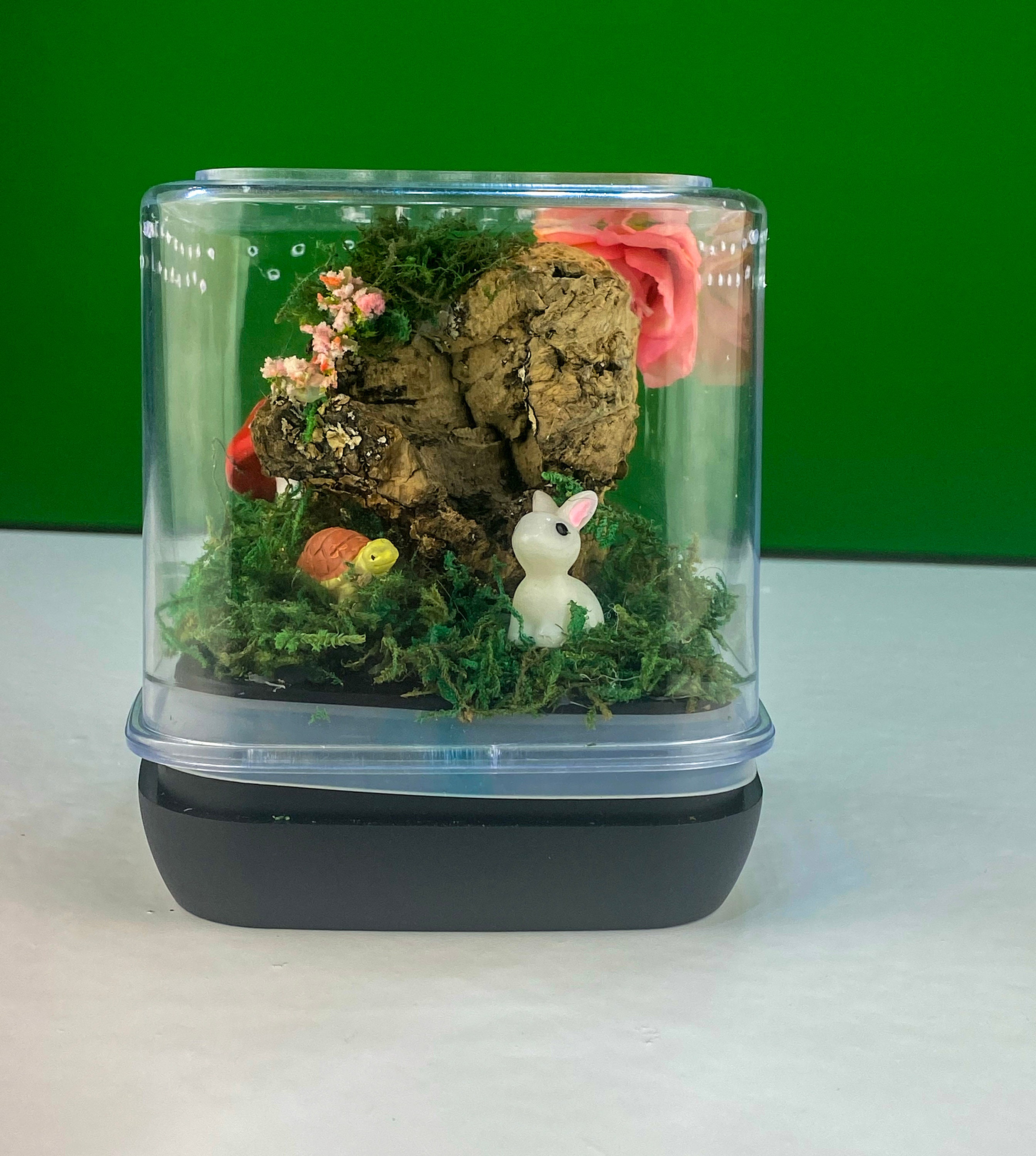 Jumping Spider Enclosure for Slings & Small Spiders - Etsy