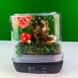 Jumping Spider Enclosure for Slings & Small Spiders - Etsy