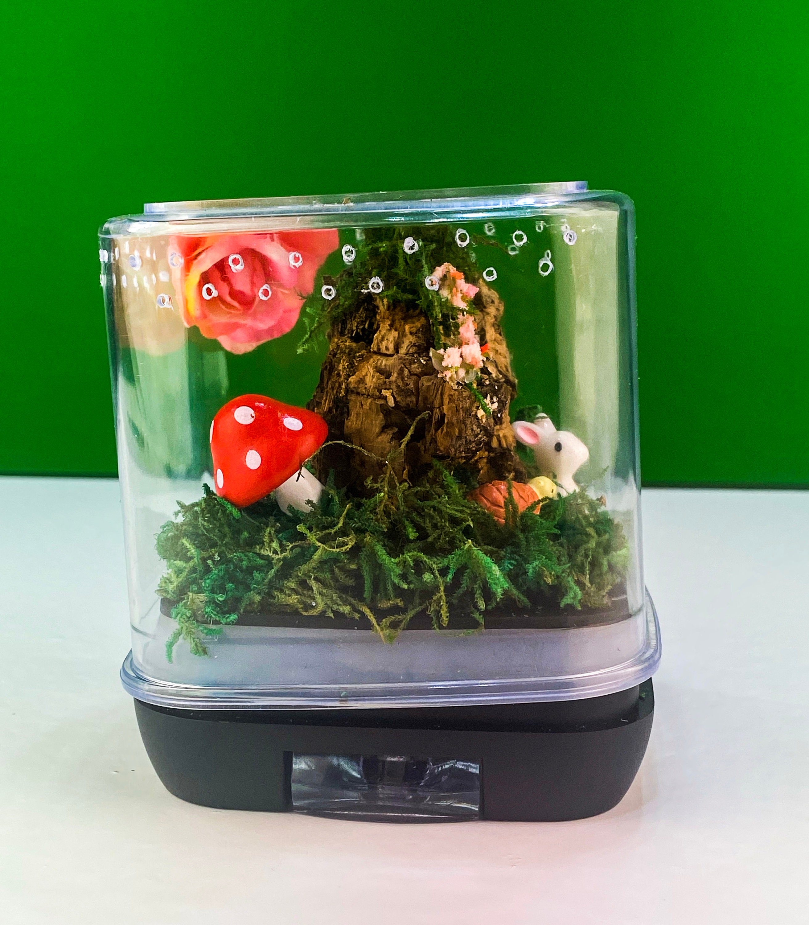 Jumping Spider Enclosure for Slings & Small Spiders - Etsy