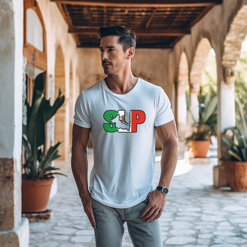 San Luis Potosi Mexico Flag SLP Design (digital Download) - Etsy