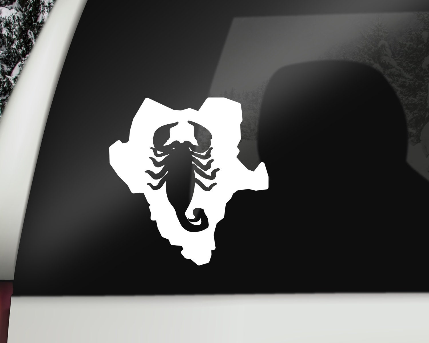 Durango Mexico Map With A Scorpion SVG PNG Digital Files - Etsy Canada