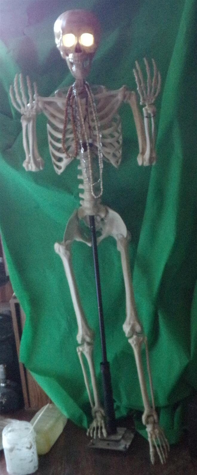 Gimmy Boney Tony Vintage Talking Skeleton - Etsy
