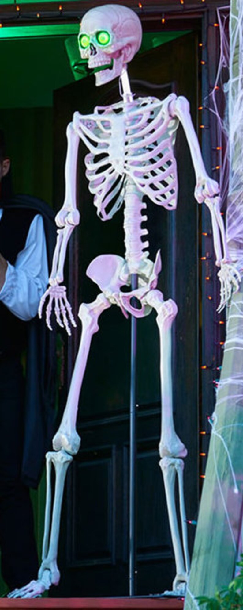 Gimmy Boney Tony Vintage Talking Skeleton - Etsy