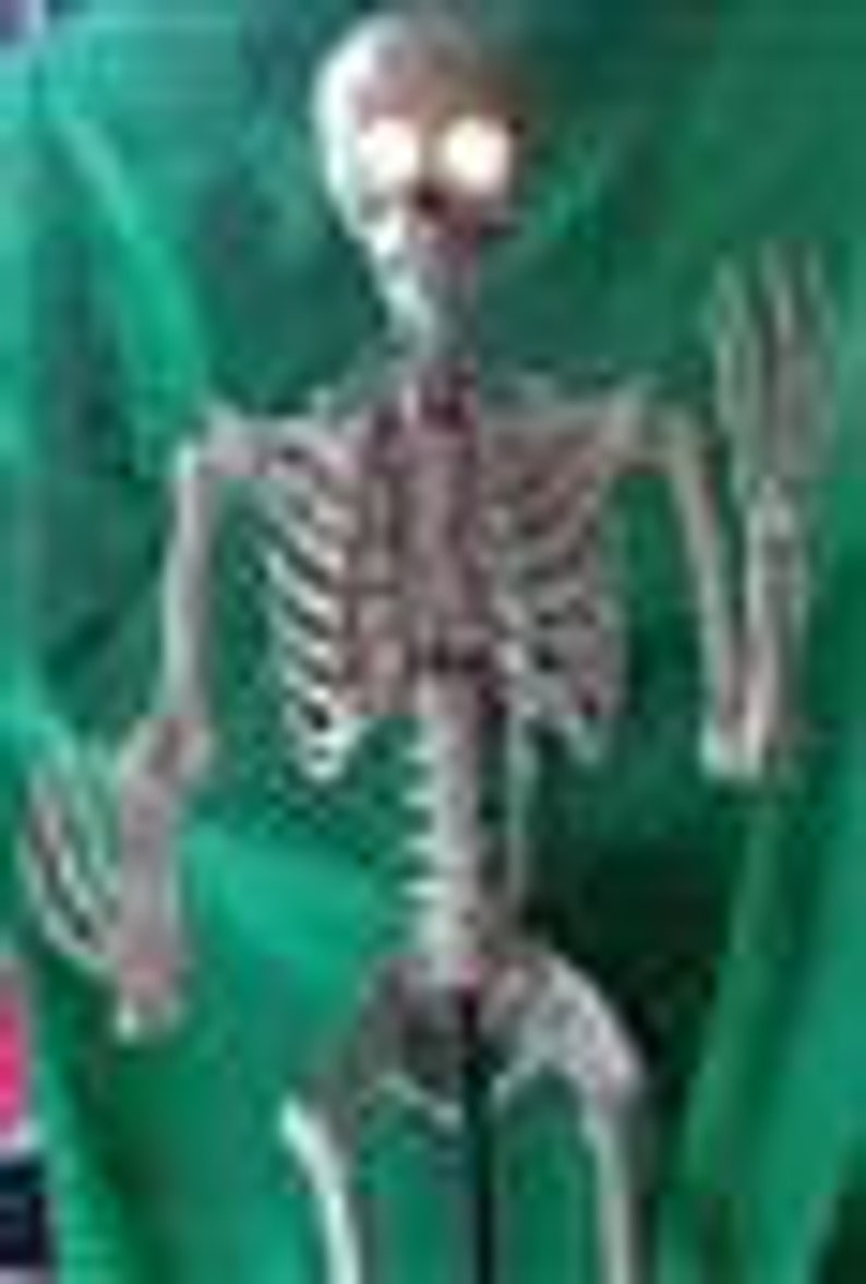 Gimmy Boney Tony Vintage Talking Skeleton - Etsy