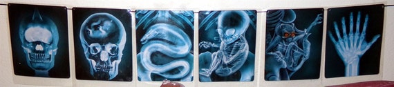X-rays Prop MAD SCIENTIST ALIEN Autopsy - Etsy