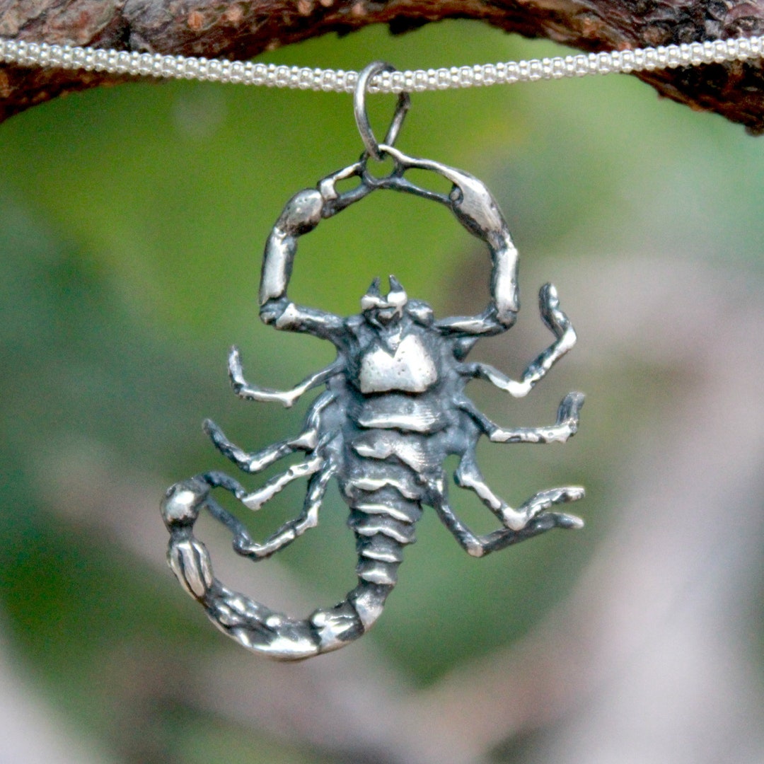 Sterling Silver Scorpion Necklace Exotic Silver Mens and Womens Jewelry ...