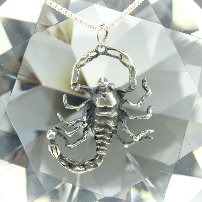 Sterling Silver Scorpion Necklace Exotic Silver Mens and | Etsy