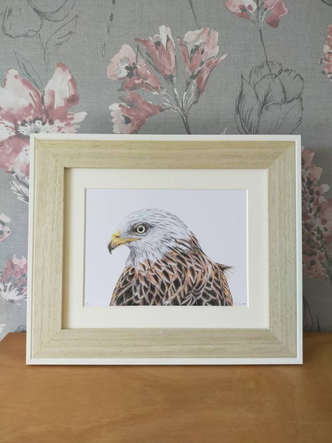 Red Kite Art - Bird Portrait - Bird of Prey - Mounted Art Print ...
