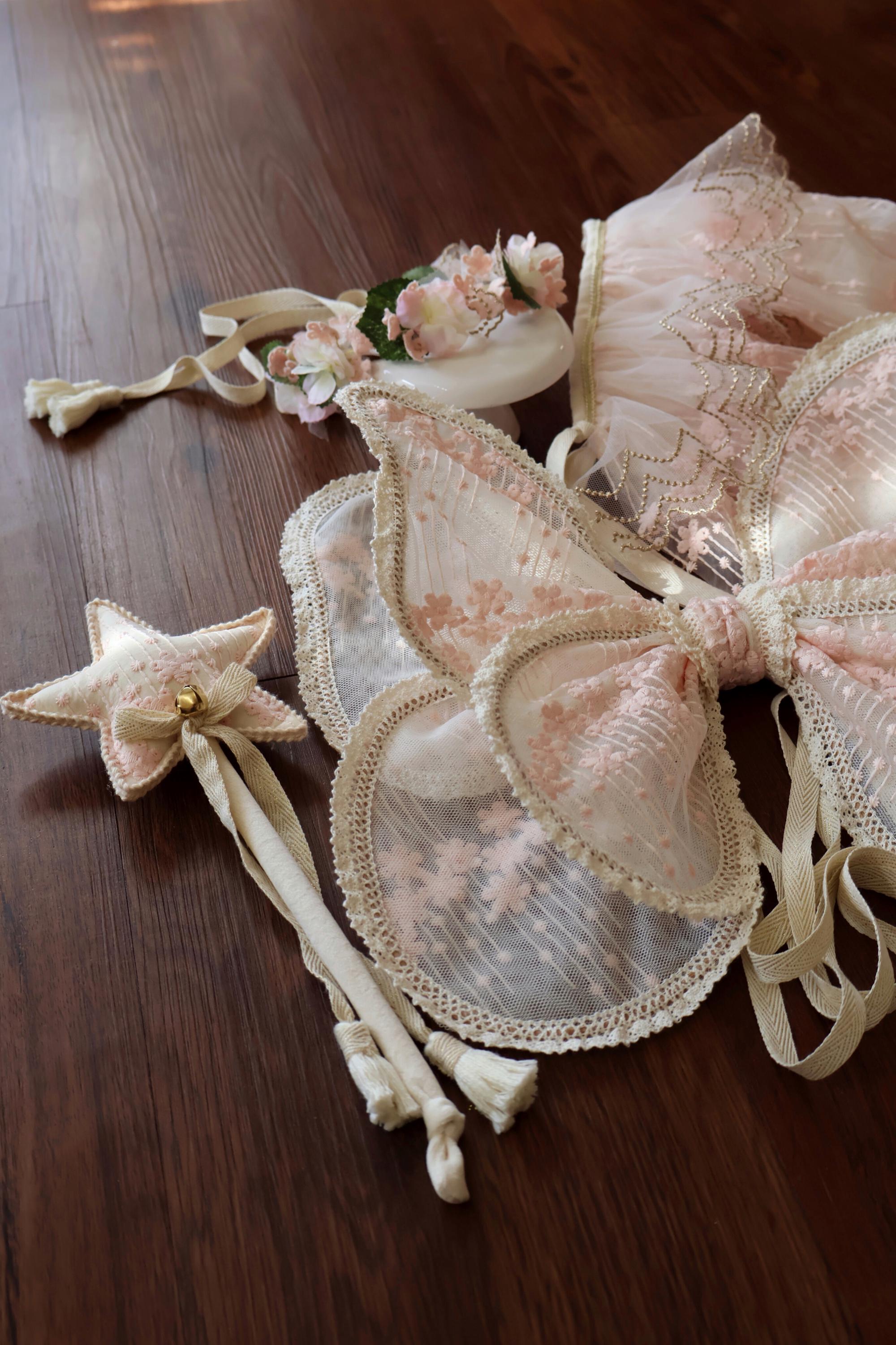 Embroidered Wings, Wings, Fairy Wings, Butterfly Wings, Costume Wings ...