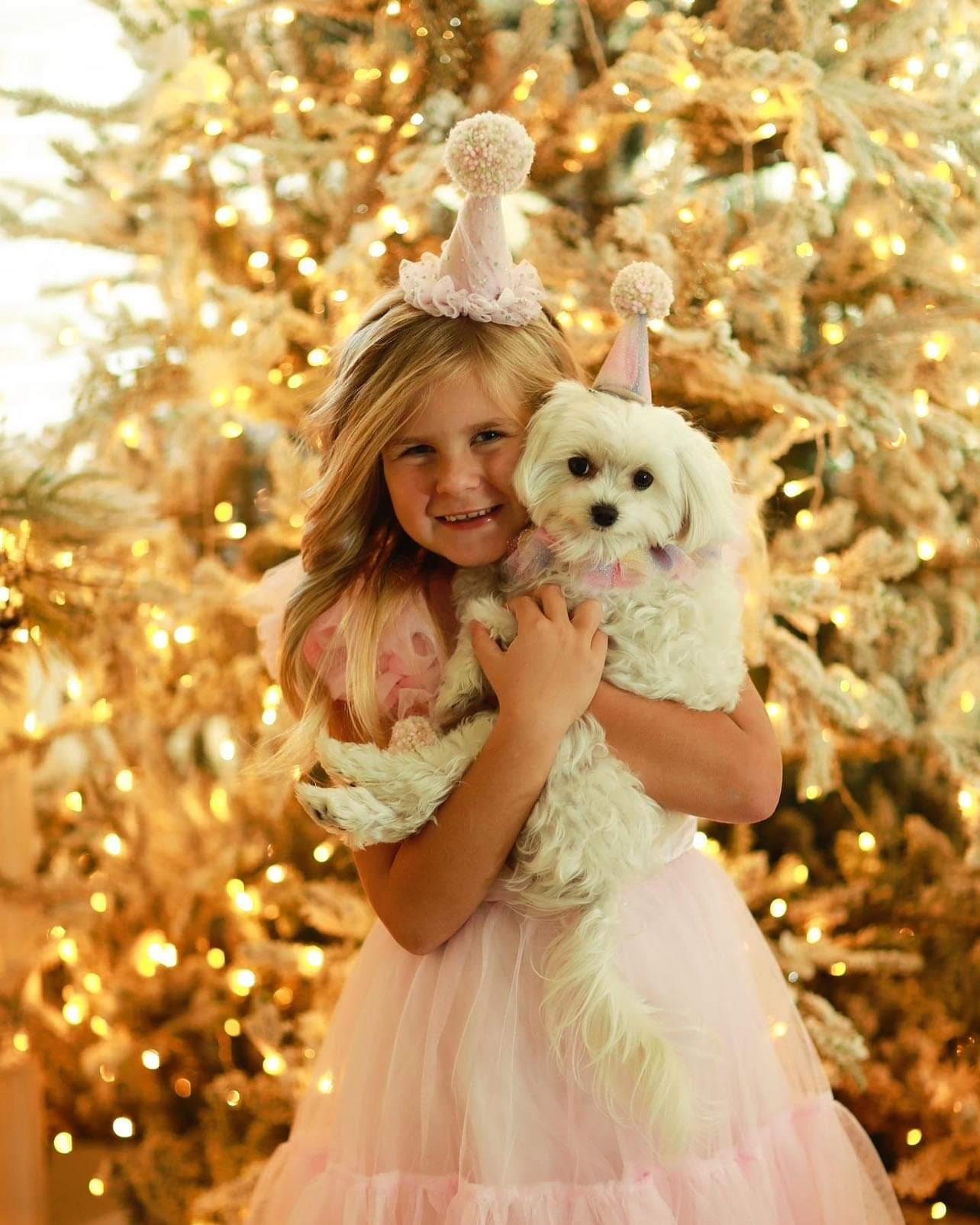 Pet Party Hat Pink Partyhatmini Party Hat Birthday Pey Hat - Etsy