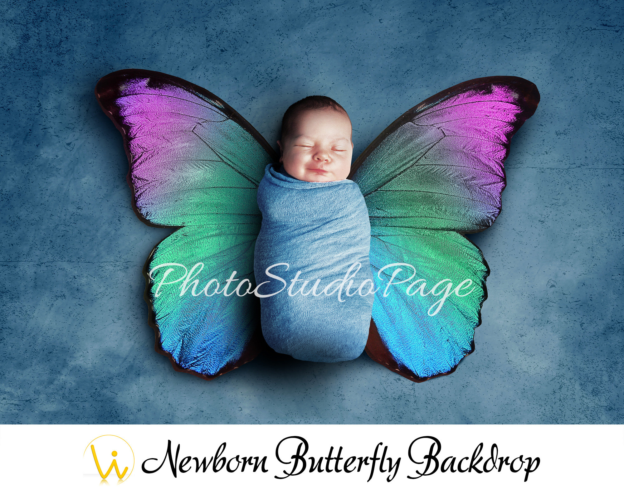 Newborn Digital Backdrop/prop, Newborn Butterfly, Backgrounds/props for ...