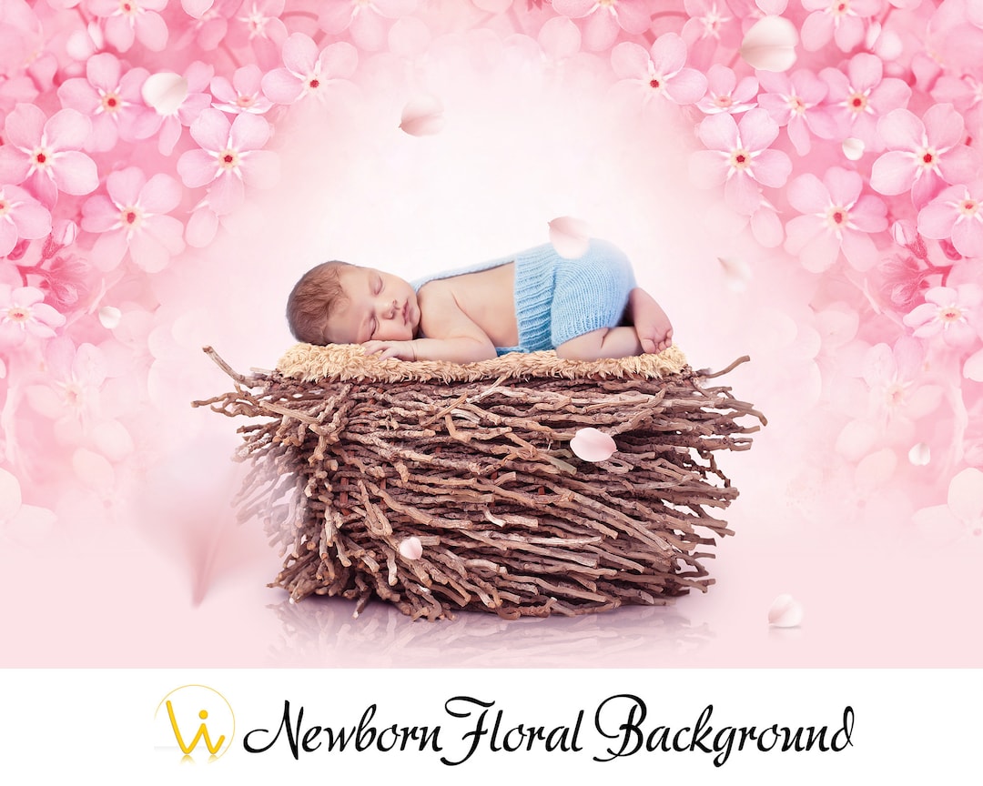 Digital Newborn Background Backdrop, Floral Backdrop, Newborn in Nest ...