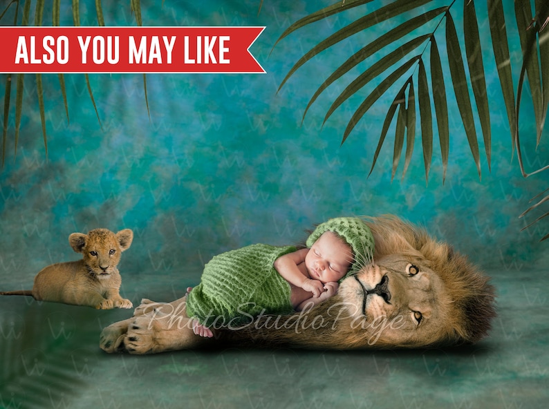 Digital Backdrop Baby Gray Background Photography Moon Backdrop, Boy ...