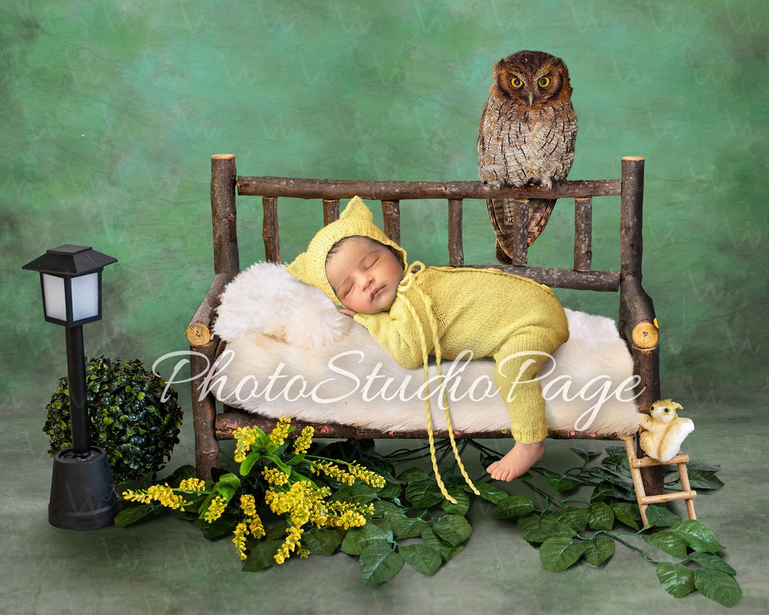 Digital Newborn Photography Backdrop Background With Sleeping Baby Girl ...