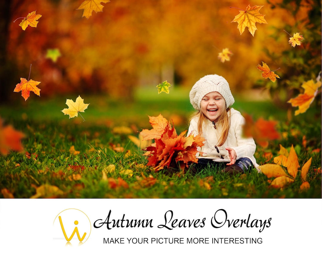 Autumn Leaves Overlays for Photographers - Photography Tools - Falling ...