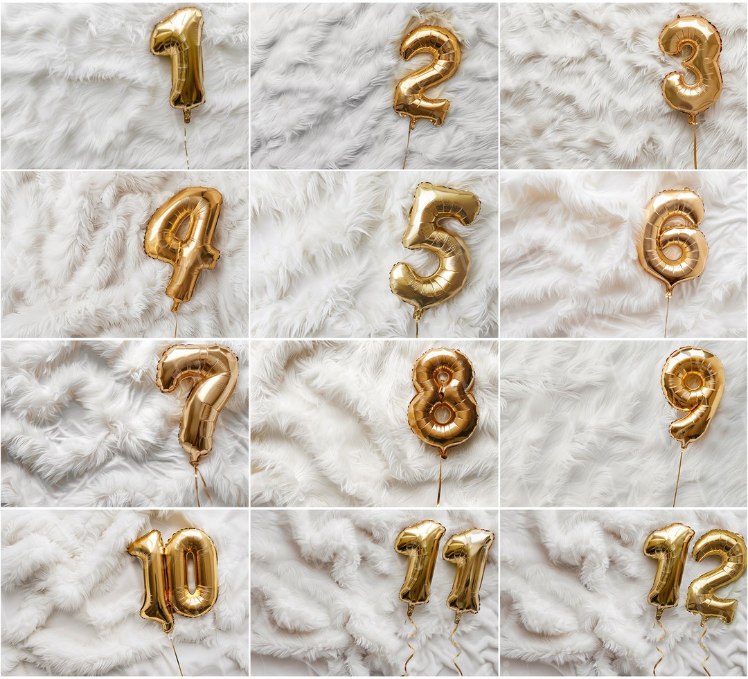 Digital Backdrop 12 Twelve Months Photography White Background for ...