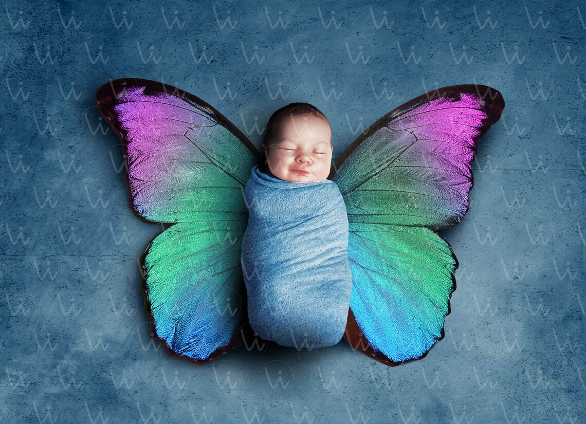 Newborn Digital Backdrop/prop, Newborn Butterfly, Backgrounds/props for ...