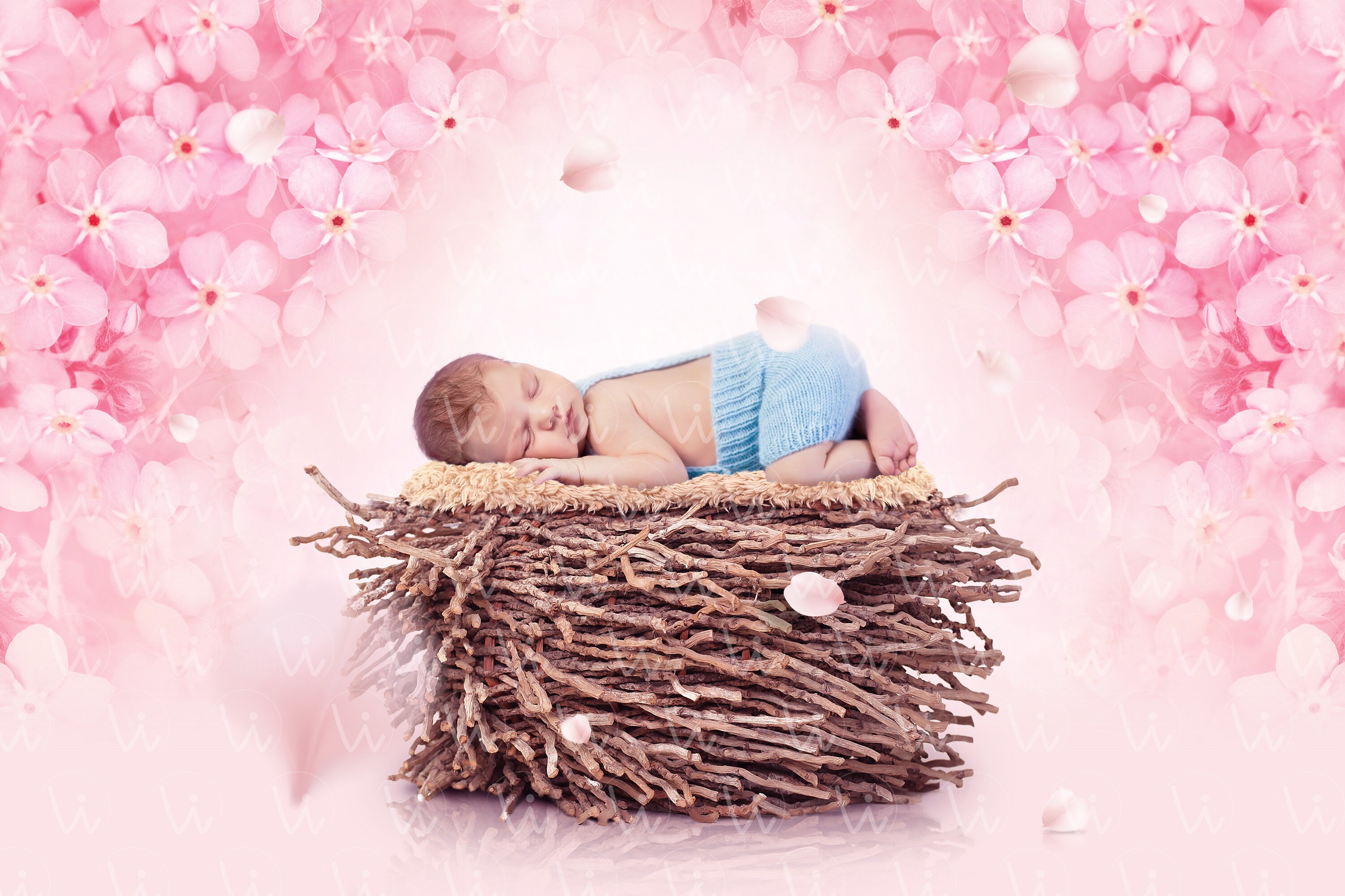 Digital Newborn Background Backdrop, Floral Backdrop, Newborn in Nest ...