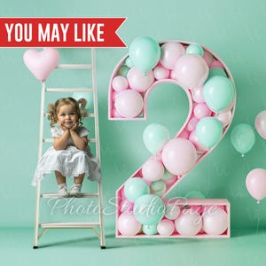 Digital 2 Two Year Second Birthday Backdrop, Second Birthday Baby Girl ...