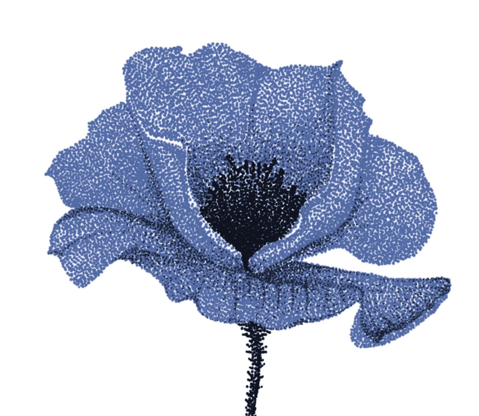 Navy Blue Poppy Flower Painting Set of 2 Digital Prints for Master ...
