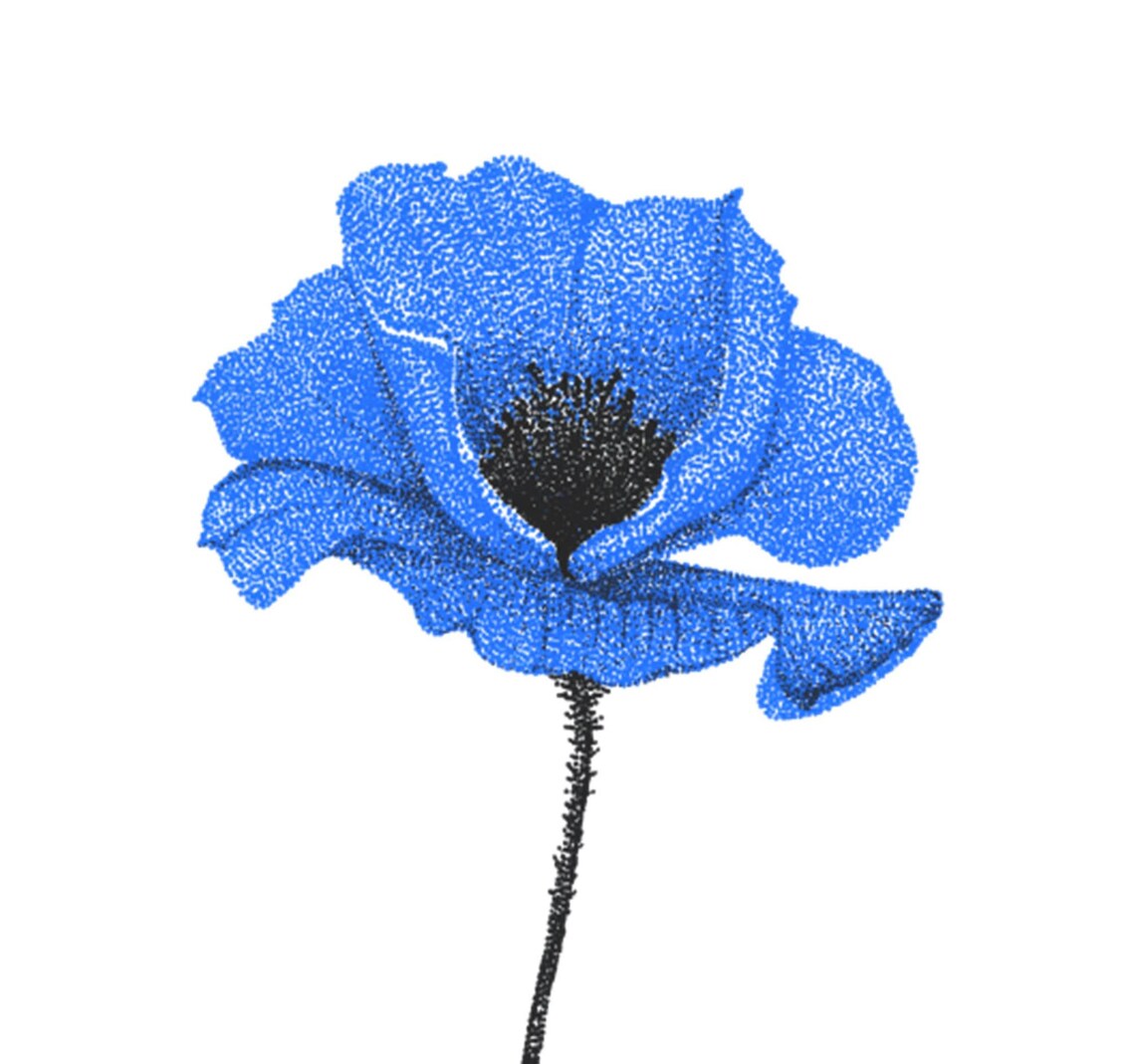 Cobalt blue poppy flower printable wall art floral art for | Etsy