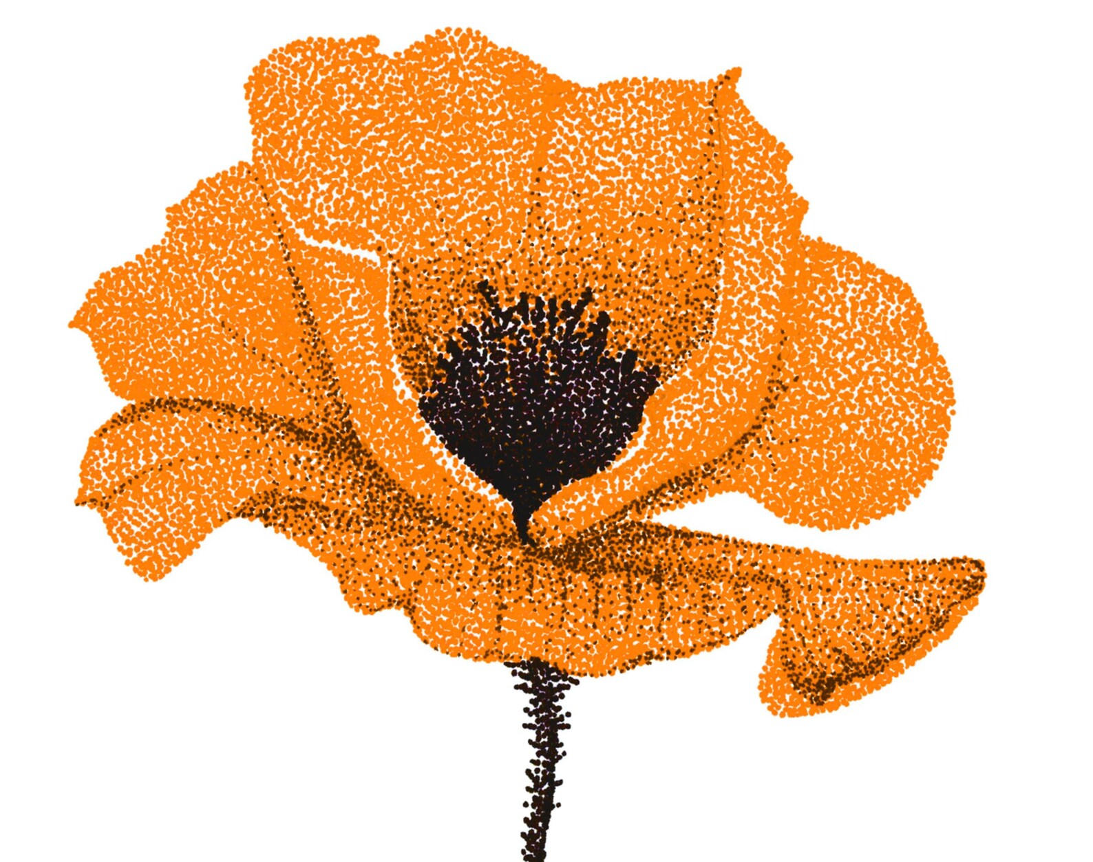 Poppy Botanical Print Set of Two Prints for Instant Download - Etsy