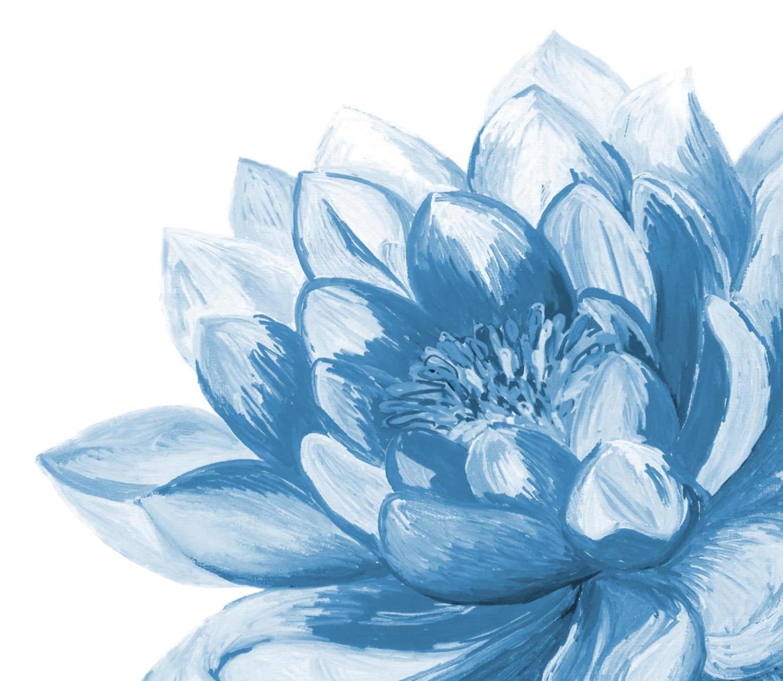 Azure Blue Lotus Flower Art Print for Yoga Studio Wall Decor - Etsy