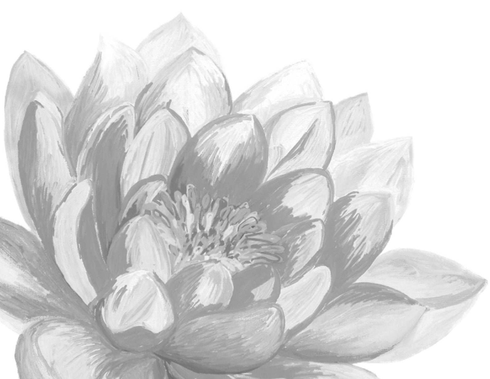 Gray Printable Lotus Flower Wall Art Set of 2 Prints for Living Room ...