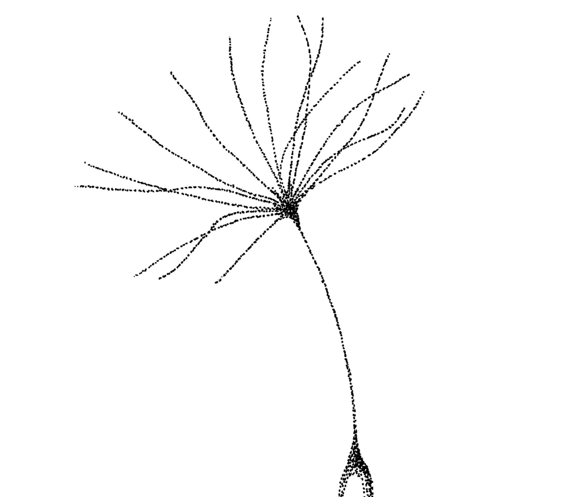 Dandelion Flower Art Set of 3 Prints for Living Room Wall | Etsy