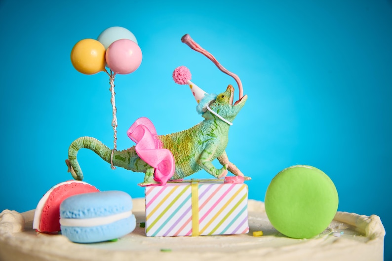 Chameleon Party Animal Cake Topper: Creep Slither Crawl Lizard Themed ...