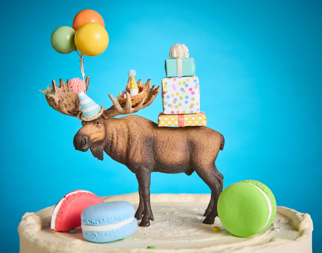 Party Animal Moose Cake Topper: Woodland Themed Birthday Decorations - Etsy