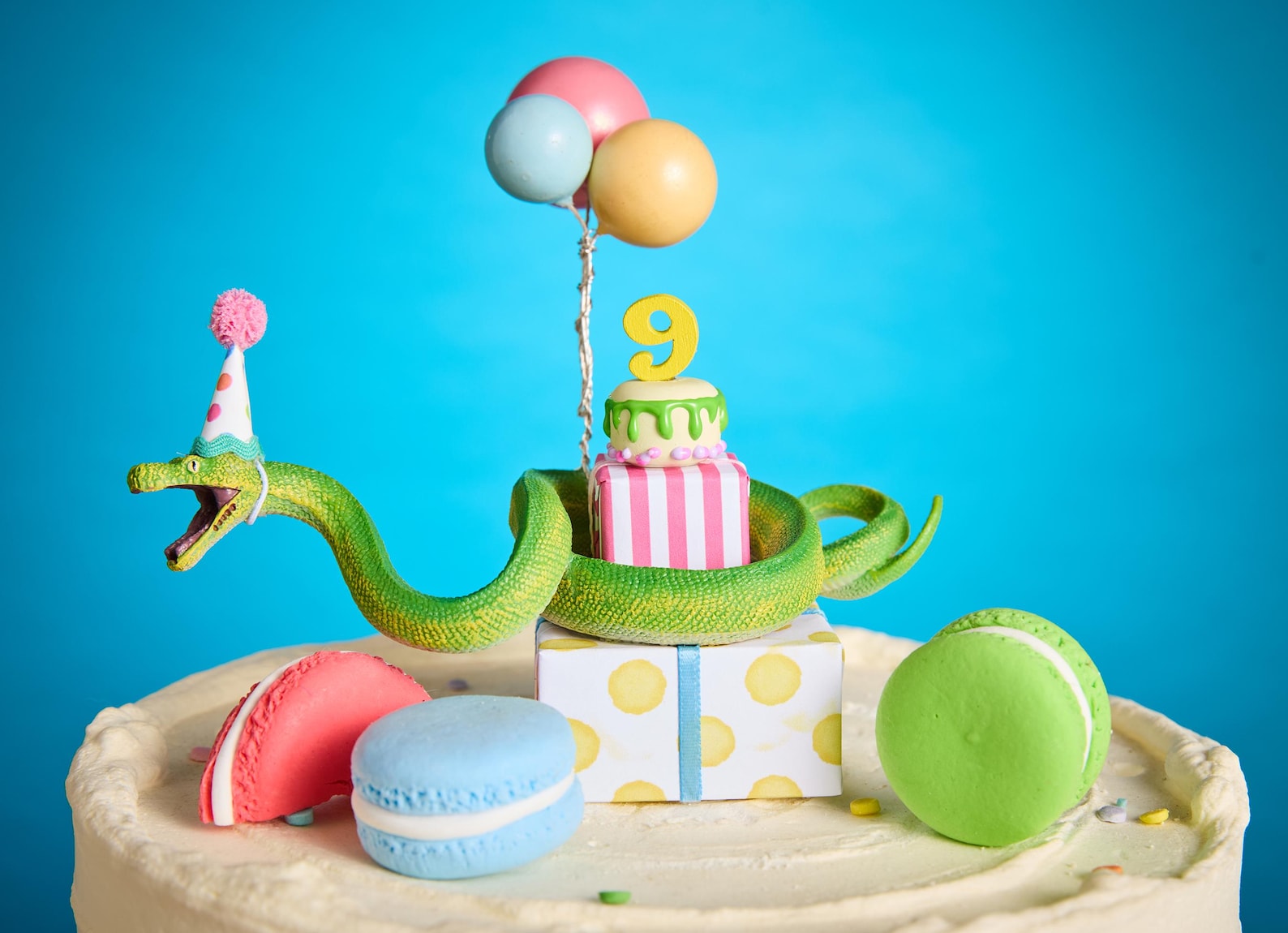 Green Python Snake Party Animal Birthday Cake Topper: Reptile Themed ...