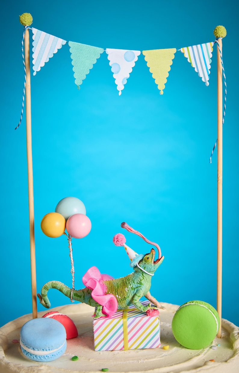 Chameleon Party Animal Cake Topper: Creep Slither Crawl Lizard Themed ...