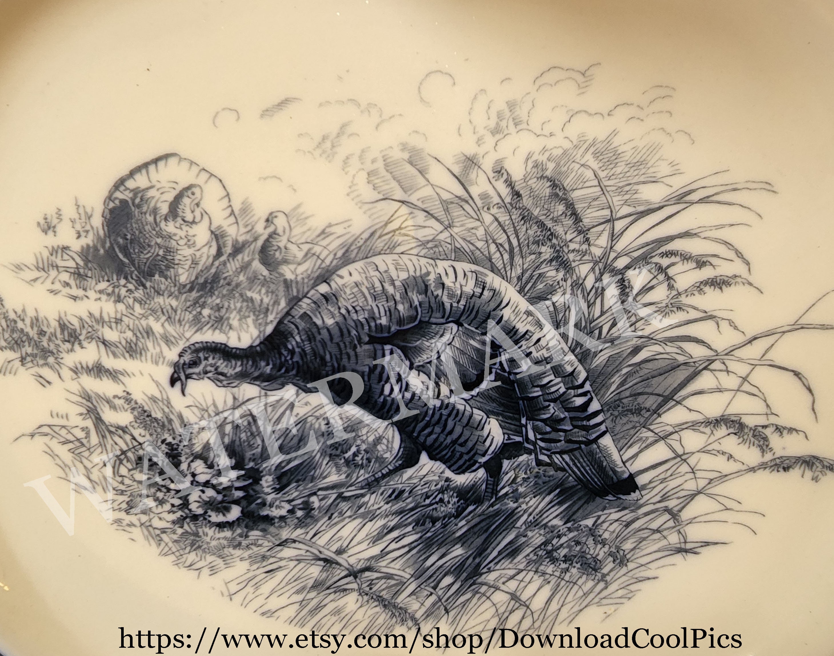 Wild Turkey Big Tom Gobbler Leyendecker Illustration Thanksgiving - Etsy