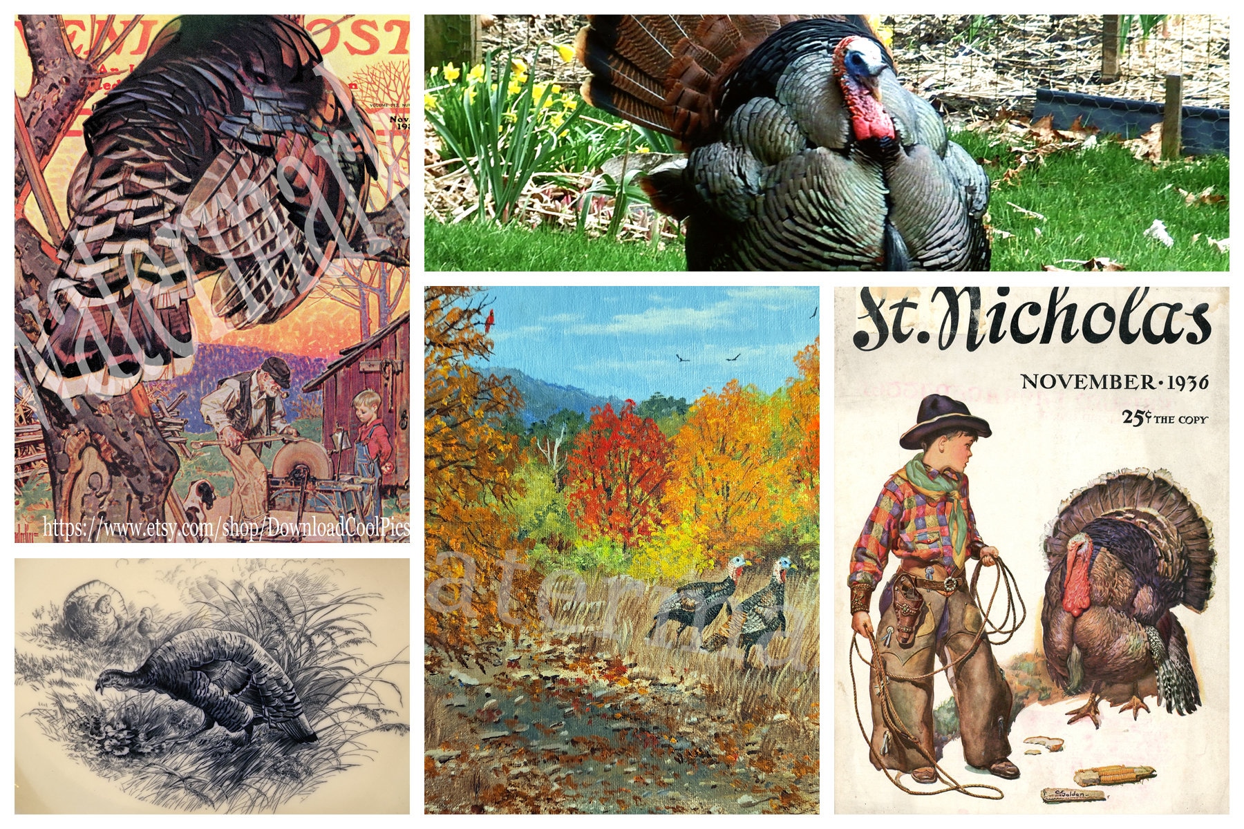 Wild Turkey Big Tom Gobbler Leyendecker Illustration Thanksgiving - Etsy