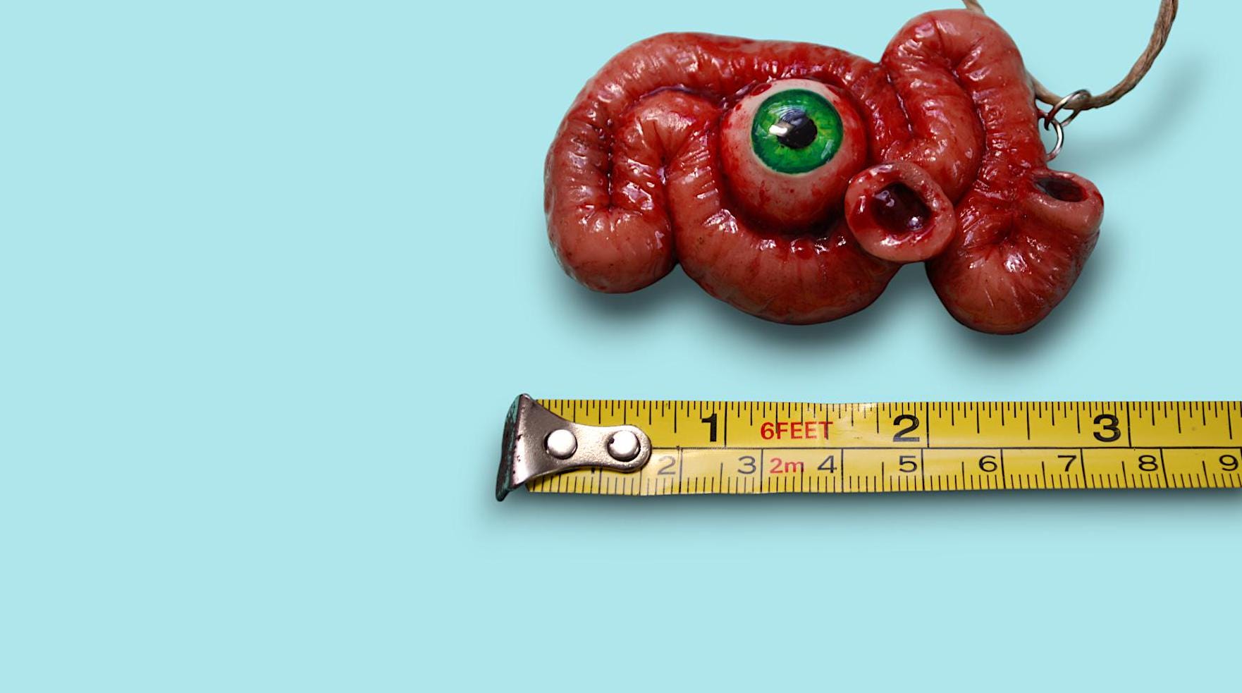 Eyeball Intestine Ornament | Anatomy Decor | Spooky Halloween ...