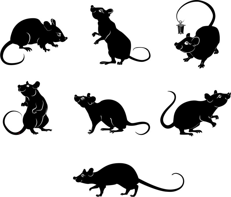 Rats SVG Mouse Svg Rodent Svg Rat Clipart Rat Files for | Etsy