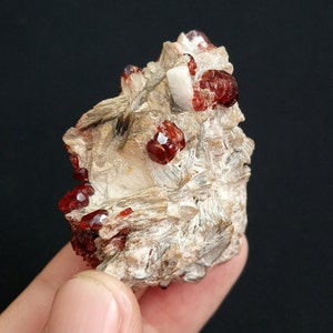 Garnet on Mica From Shegar Gilgit Baltistan Pakistan. - Etsy