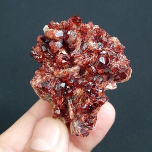 Garnet on Mica From Shegar Gilgit Baltistan Pakistan. - Etsy