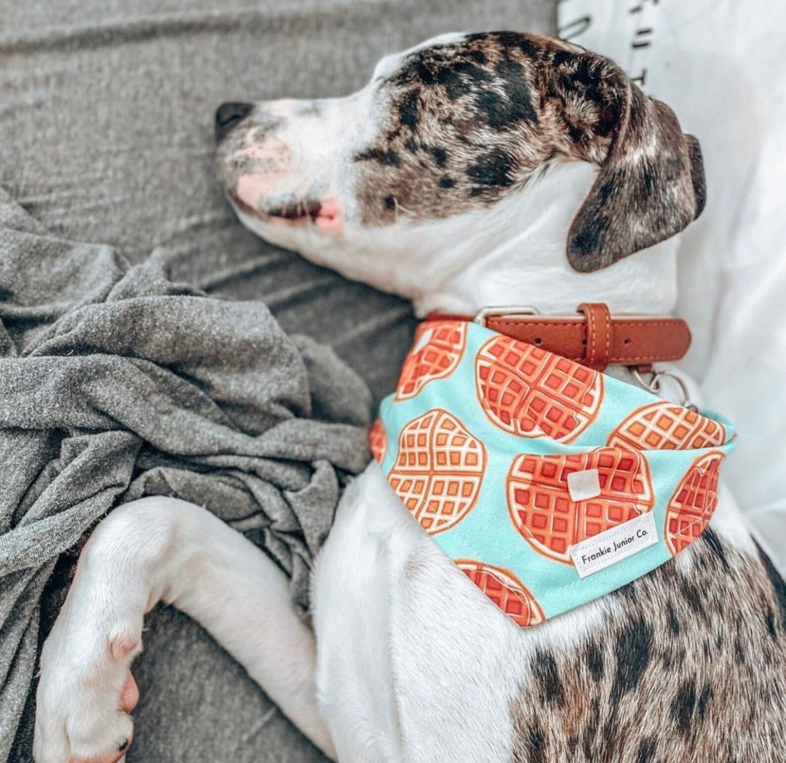 Handmade Snap-on Dog Bandana Waffle Party - Etsy