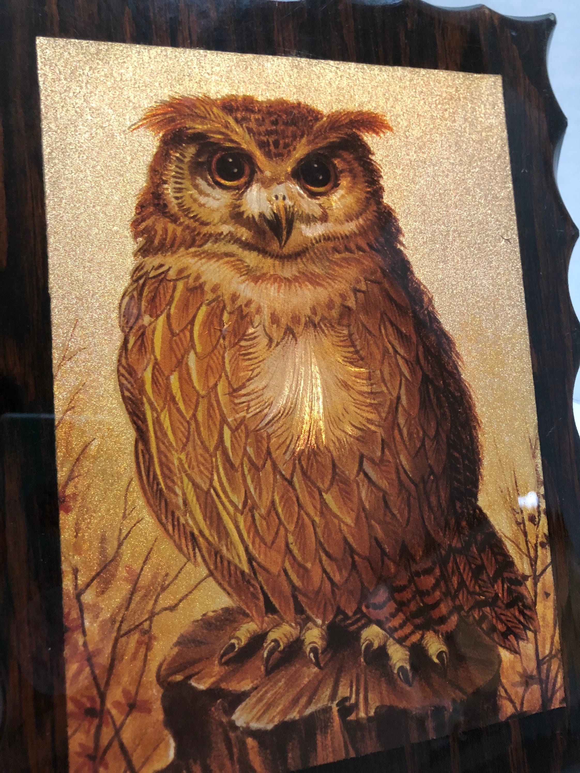 Horned Owl Decoupage Picture, 1970s Horned Owl Picture - Etsy