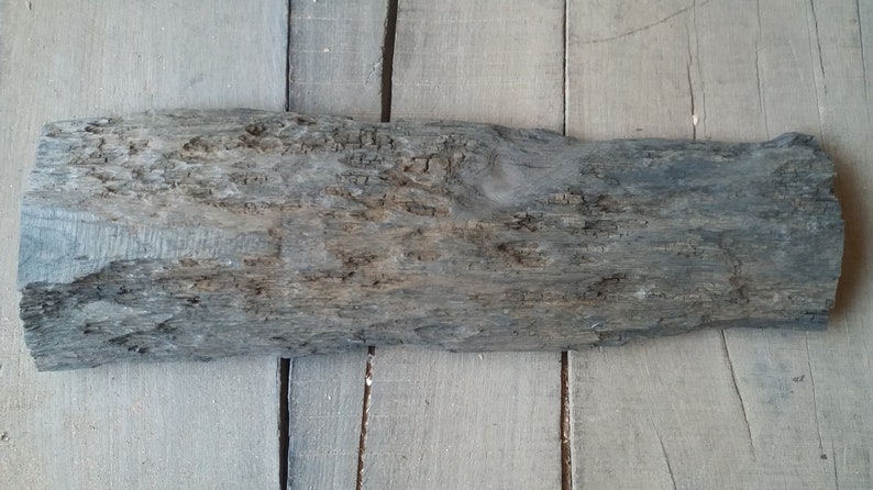 22 Inches Live Edge Bog Oak Board Size L 22'' X W 7 | Etsy