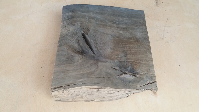 Curved Live Edge Bog Oak Board 9'' X 7'' - Etsy