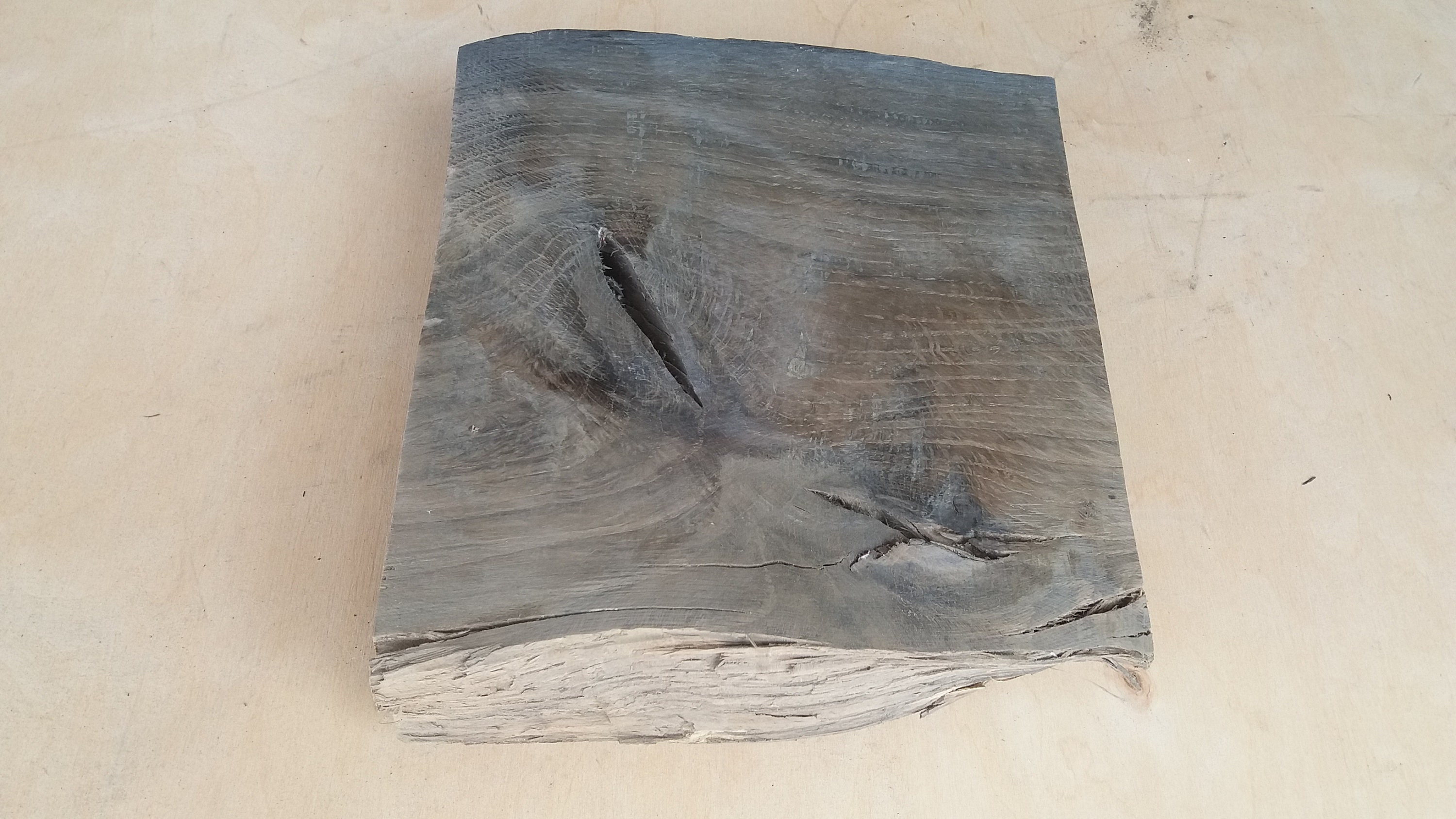 Curved Live Edge Bog Oak Board 9'' x 7'' | Etsy