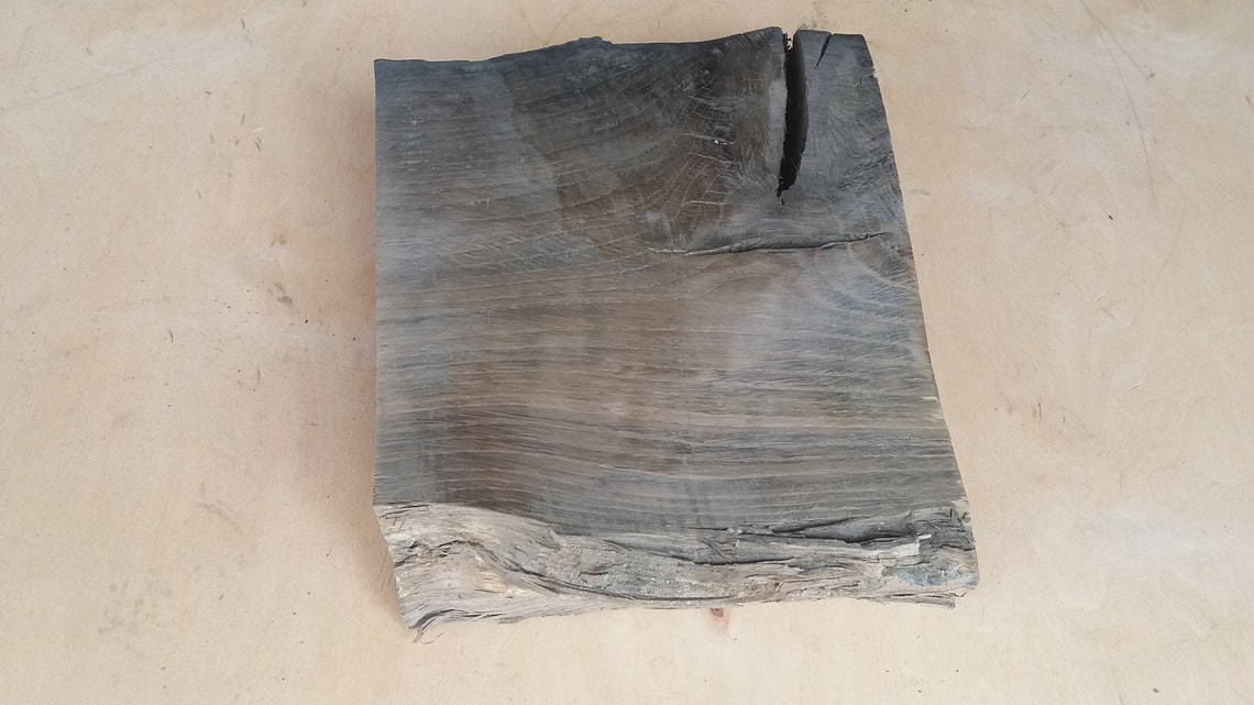Curved Live Edge Bog Oak Board 9'' x 7'' | Etsy