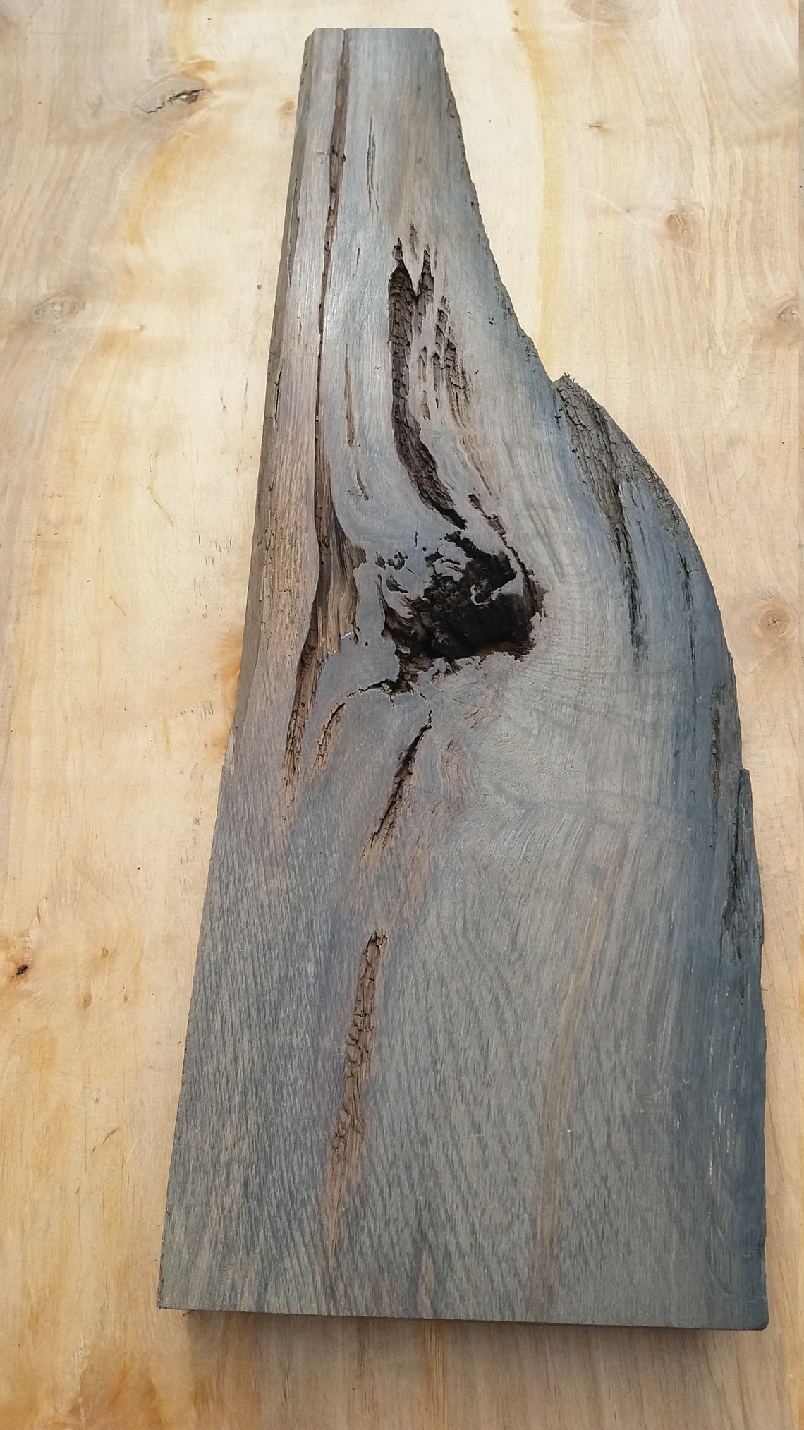 Live Edge Bog Oak Board 27'' X 8'' X - Etsy