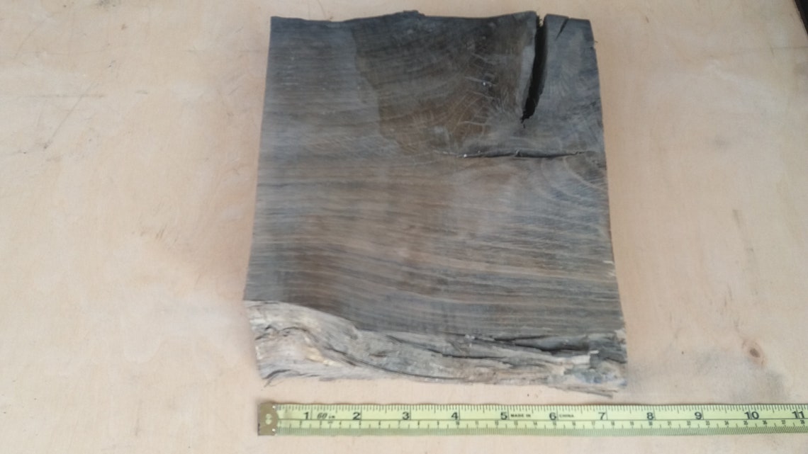 Curved Live Edge Bog Oak Board 9'' X 7'' - Etsy